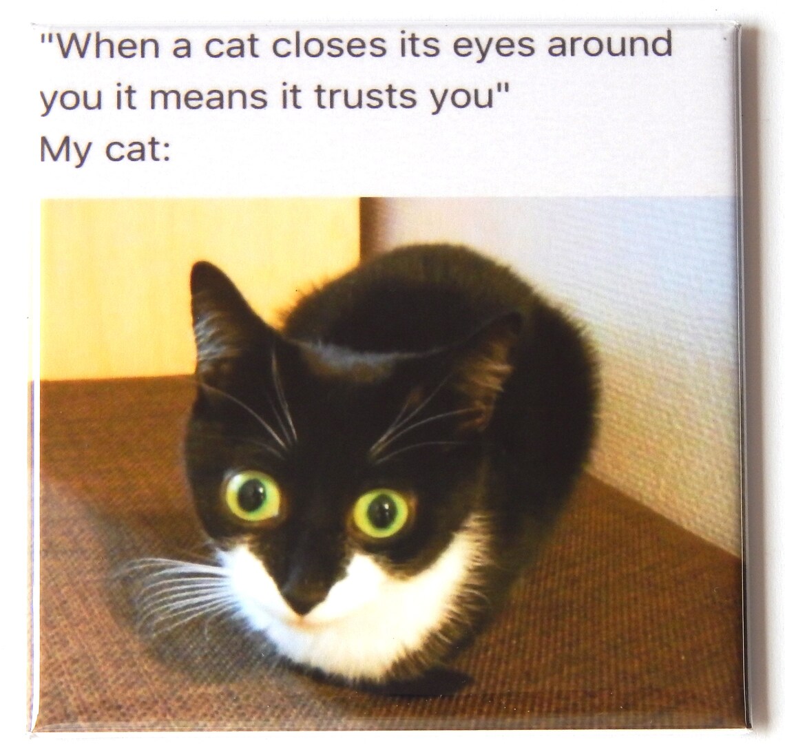 Cat Meme #12 Fridge Magnet - Etsy