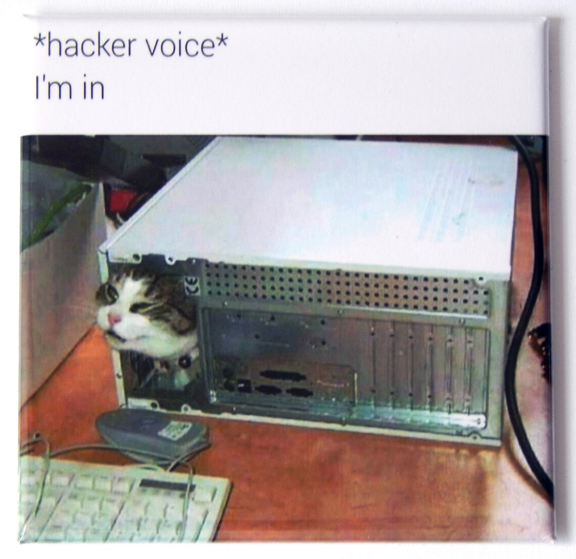 Cat Meme 5 Fridge Magnet - Etsy