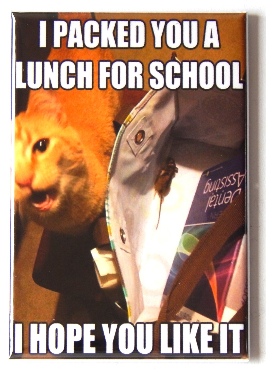 Cat Meme #64 Fridge Magnet - Etsy