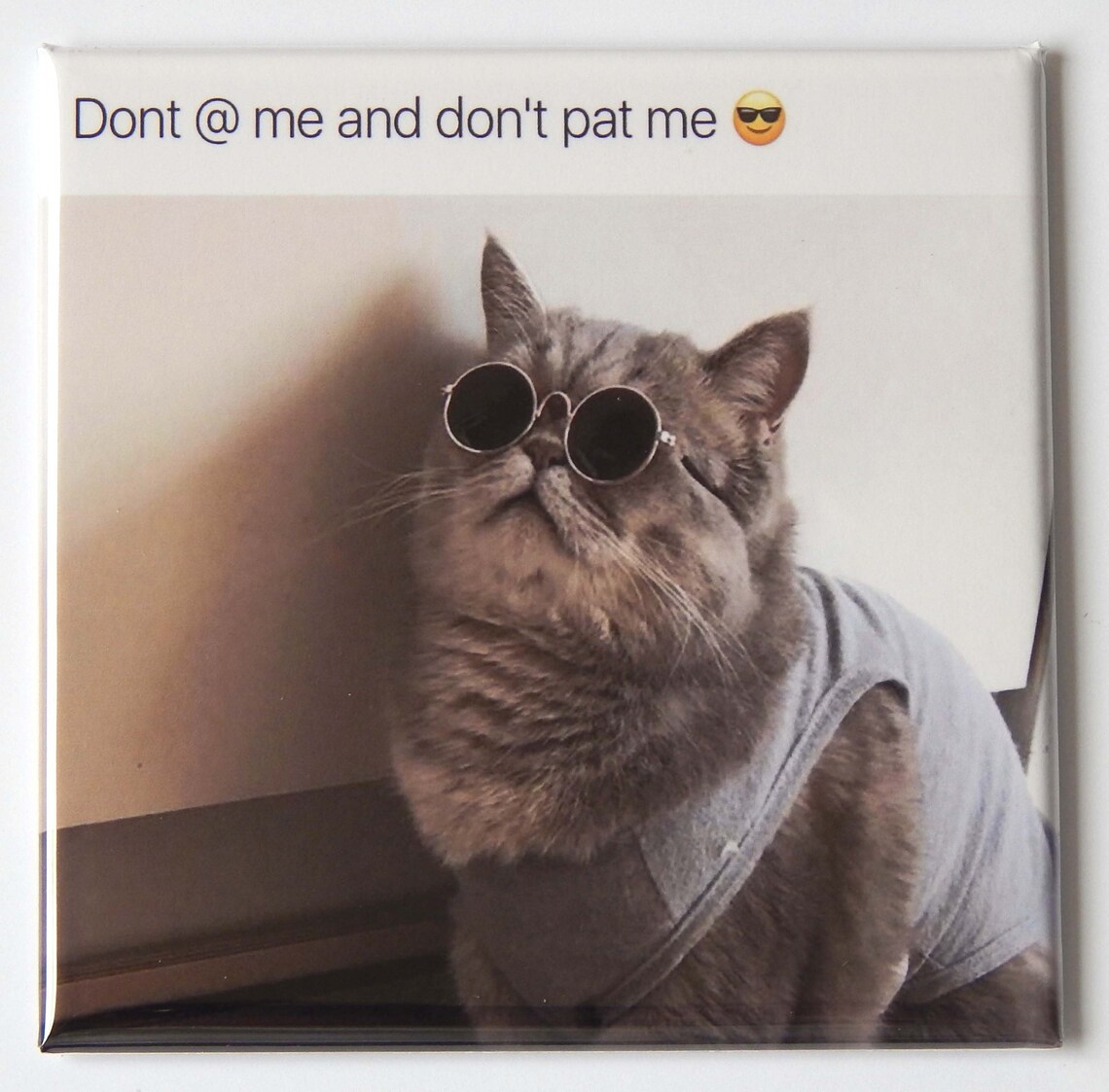Cat Meme 53 Fridge Magnet - Etsy
