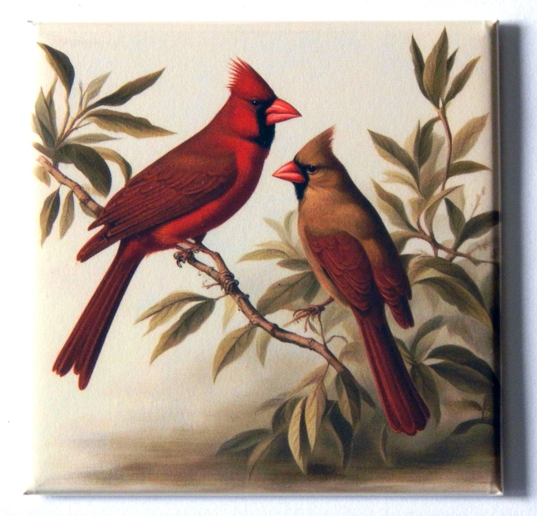 Male and Female Cardinal Fridge Magnet - Etsy