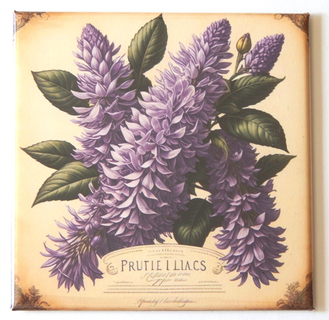 Purple Lilac Sign Fridge Magnet - Etsy