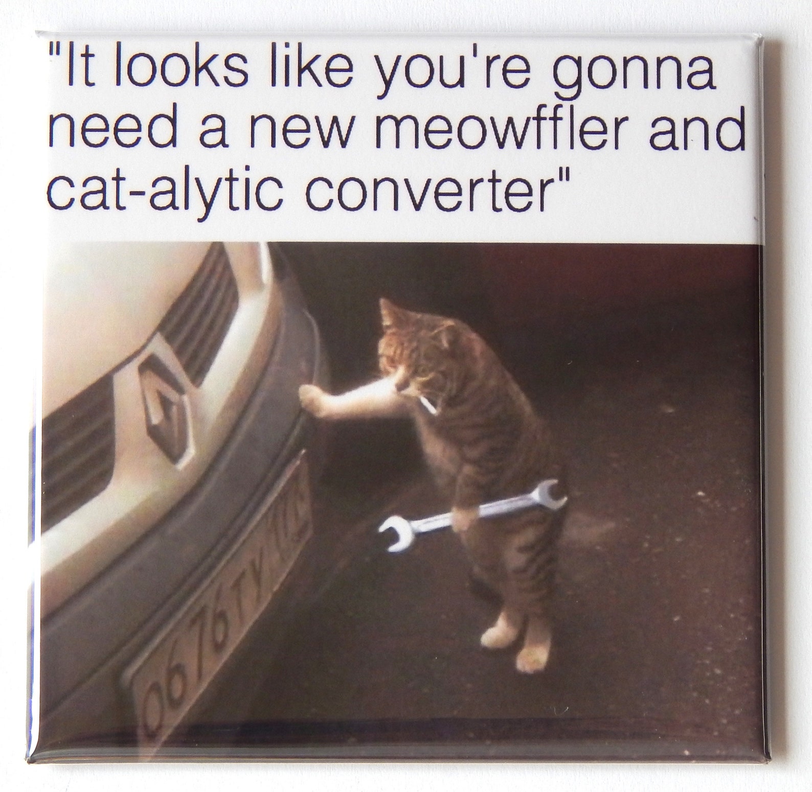 Cat Meme 13 Fridge Magnet - Etsy