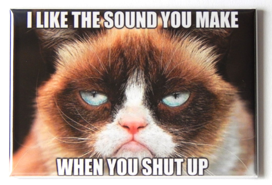 Cat Meme #77 Fridge Magnet - Etsy