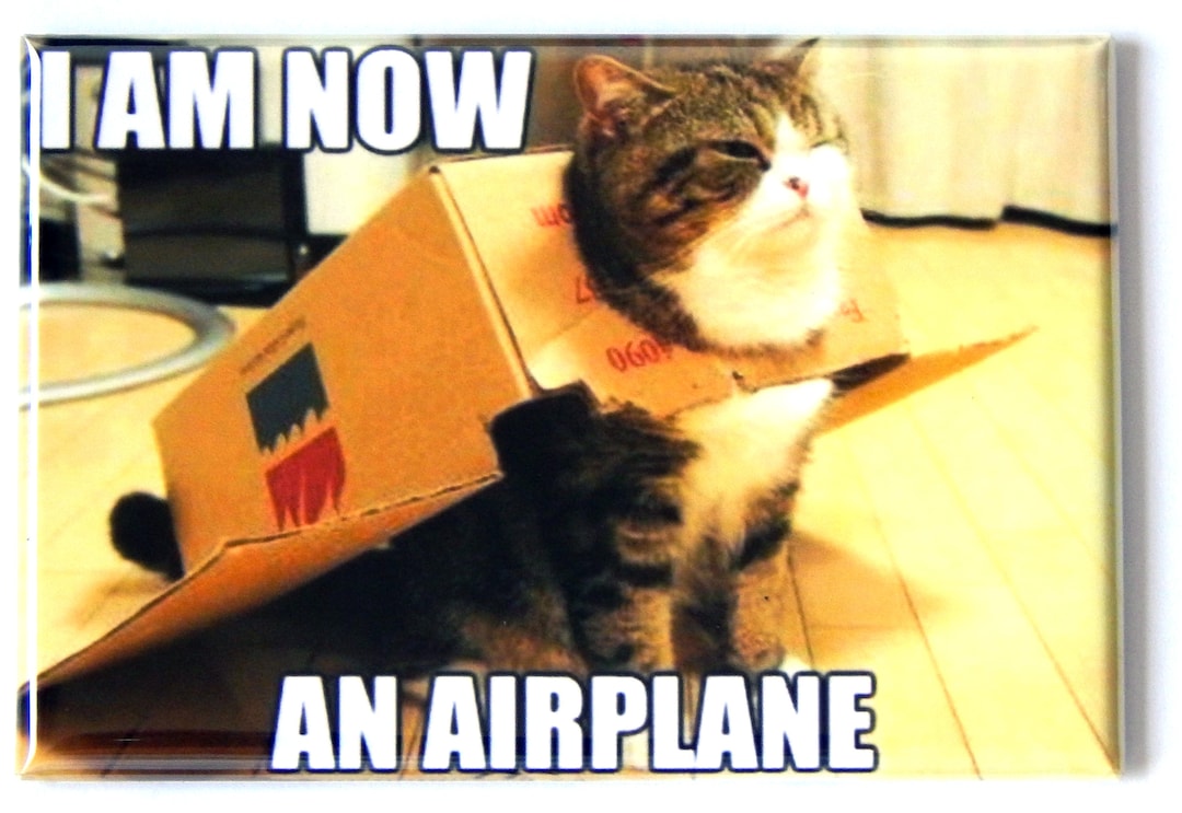 Cat Meme #30 Fridge Magnet - Etsy