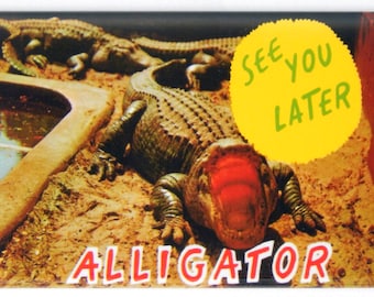Vintage Alligator Firecracker Label on a Fridge Magnet 2.5 X 3.5 - Etsy