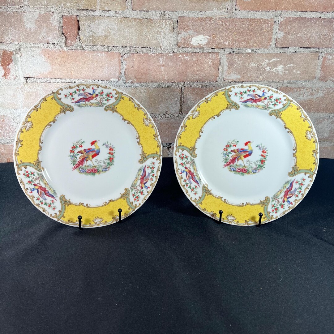 Rare Chelsea Bird Pattern Dinner Plates x2 by Andrea by Sadek for the ...