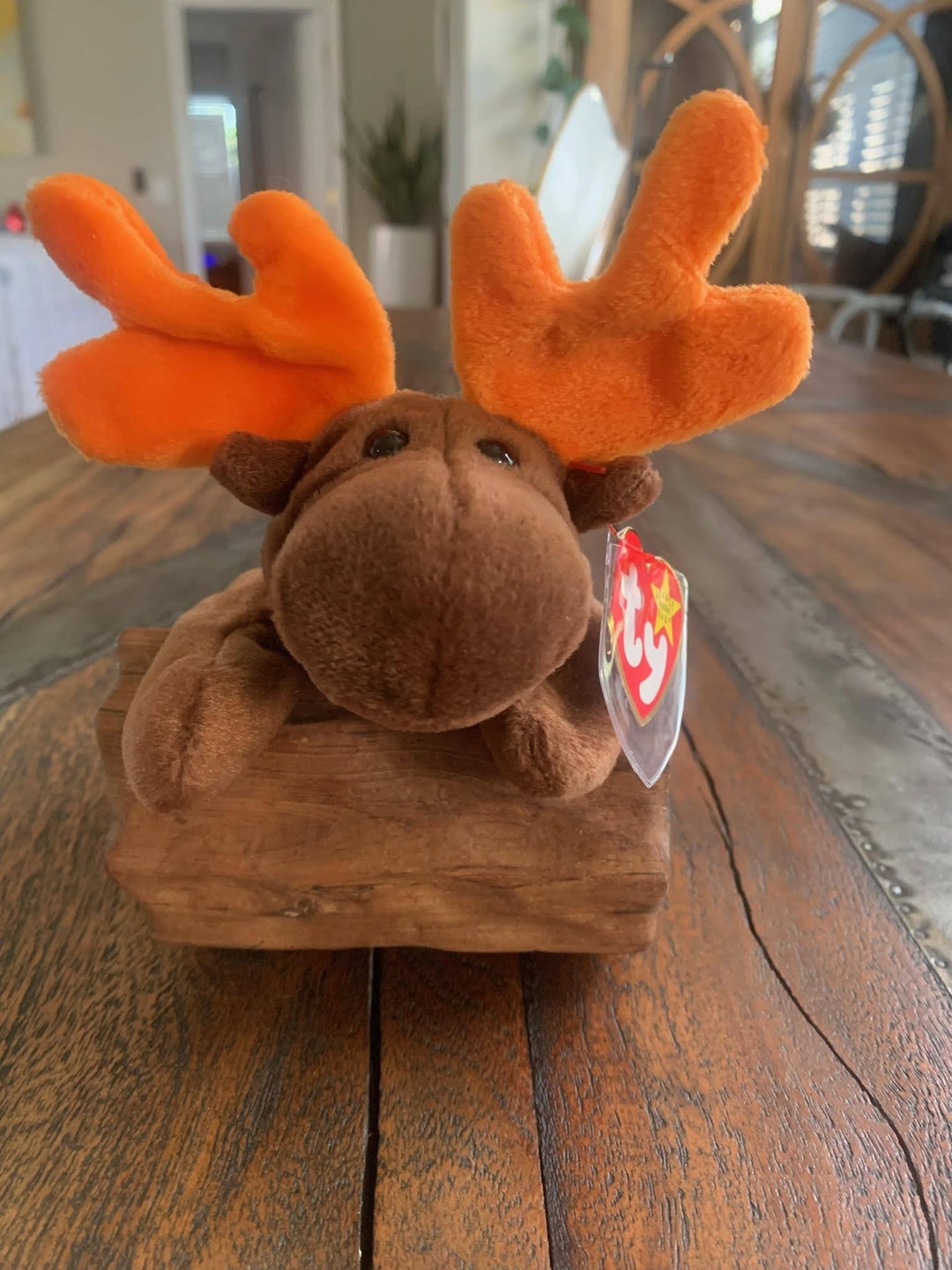 Ty " CHOCOLATE "very Rare! He is One of the Original 9!! BRAND NEW ...