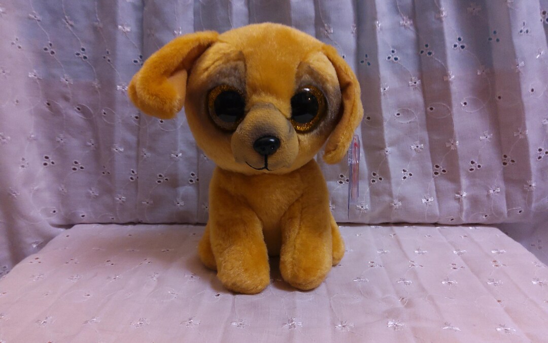 TY Beanie Boos "zuzu" the Dog. New, Never Played With. Stored in a ...