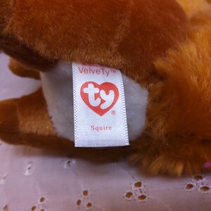 TY Beanie Baby "squire" the Squirrel. New, Never Played With. Stored in ...