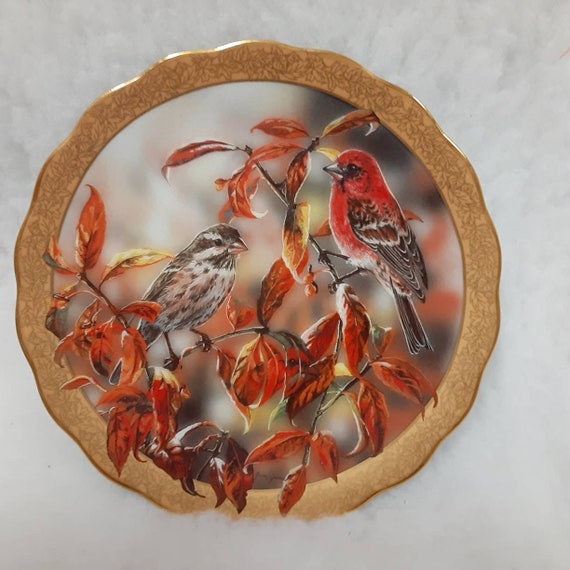 Beautifully Illustrated Bird Plate by Bradford Exchange Titled - Etsy