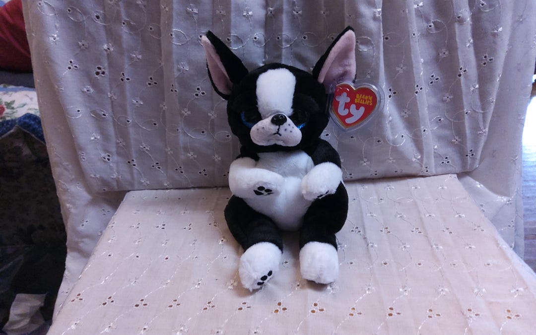 TY Beanie Bellies "tink" the French Bulldog. New, Never Played With ...