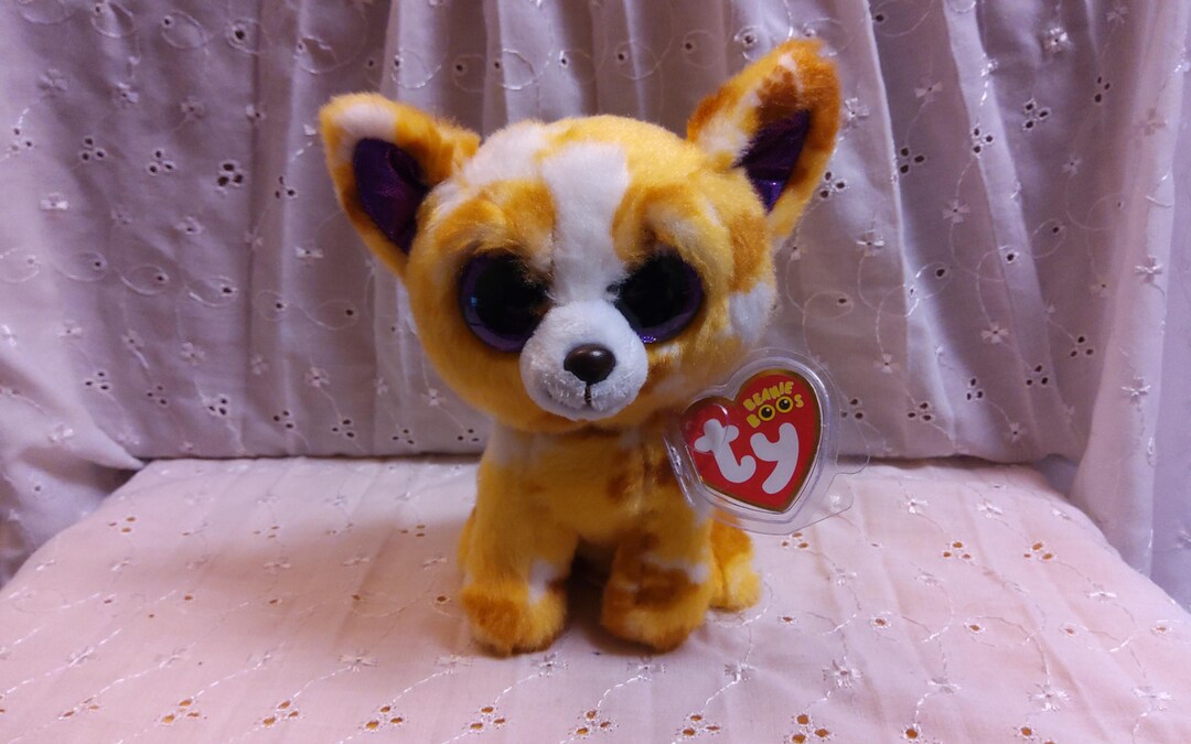 TY Beanie Boos pablo the Chihuahua Dog. New, Never Played With. Stored ...