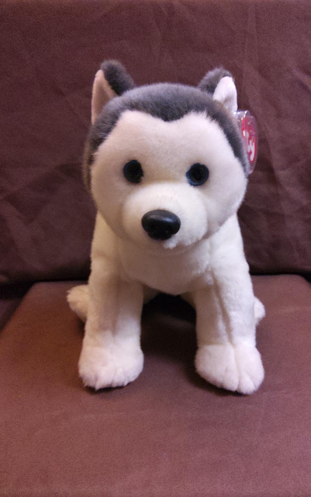 TY Beanie Buddy nanook the Husky Dog. New, Never Played With. Stored in ...