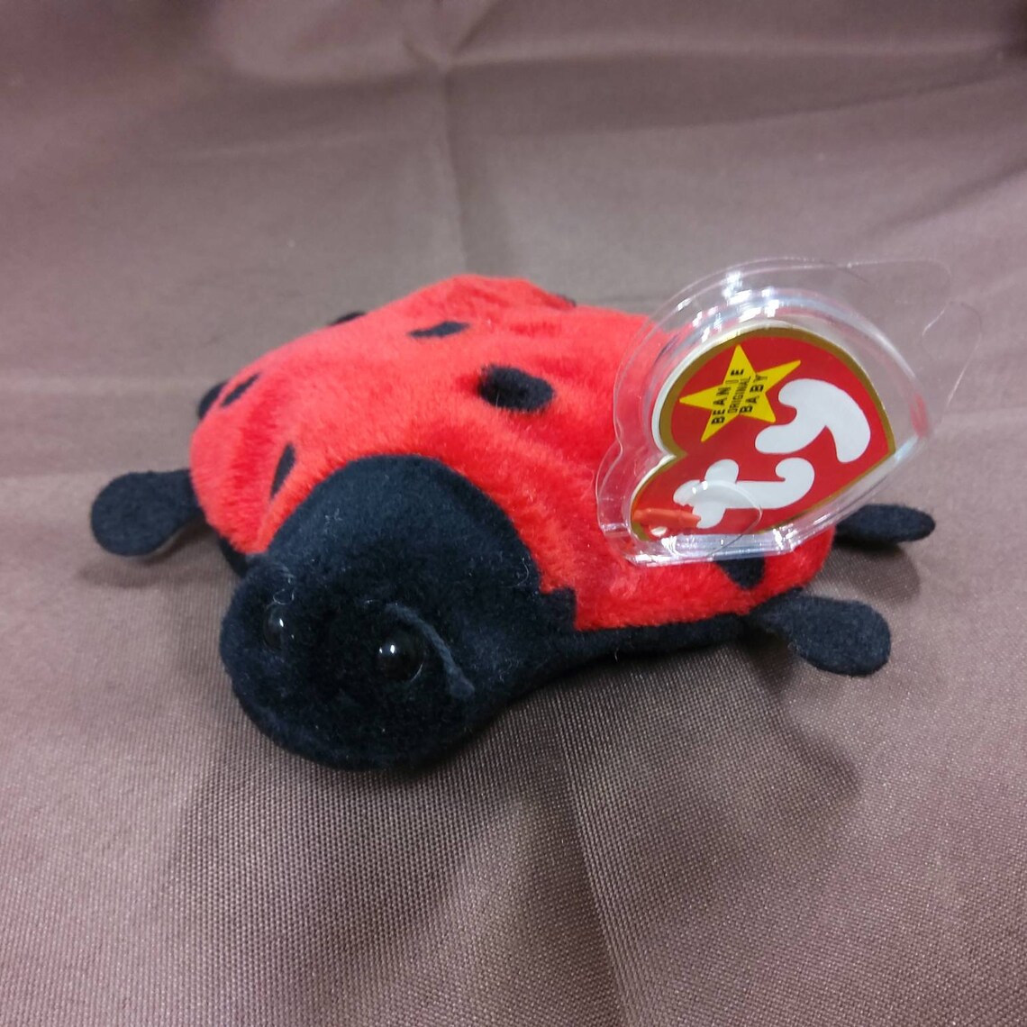 TY Beanie Baby Lucky the Ladybug. New never | Etsy