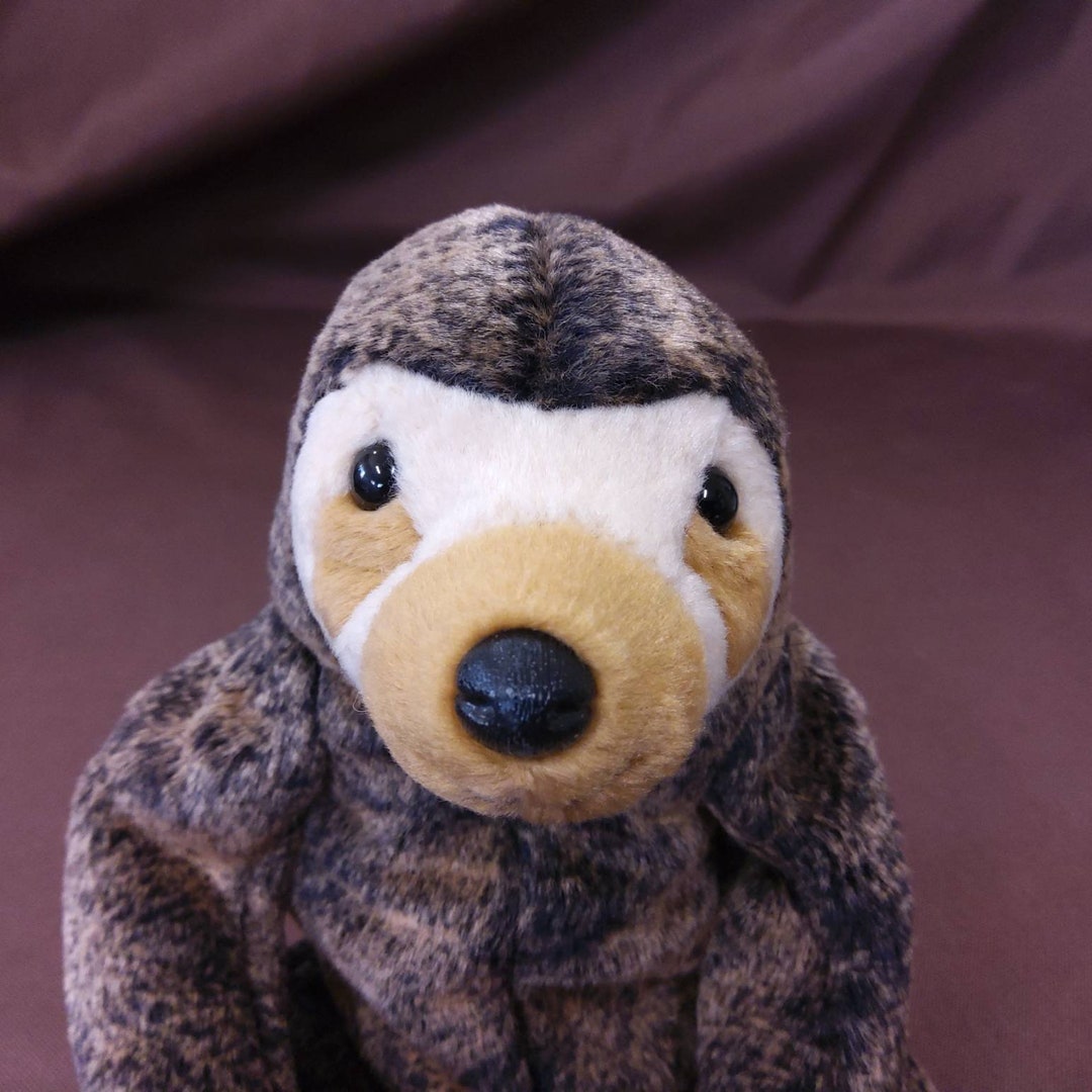 TY Beanie Baby "slowpoke" the Sloth. New, Never Played With. Stored in ...