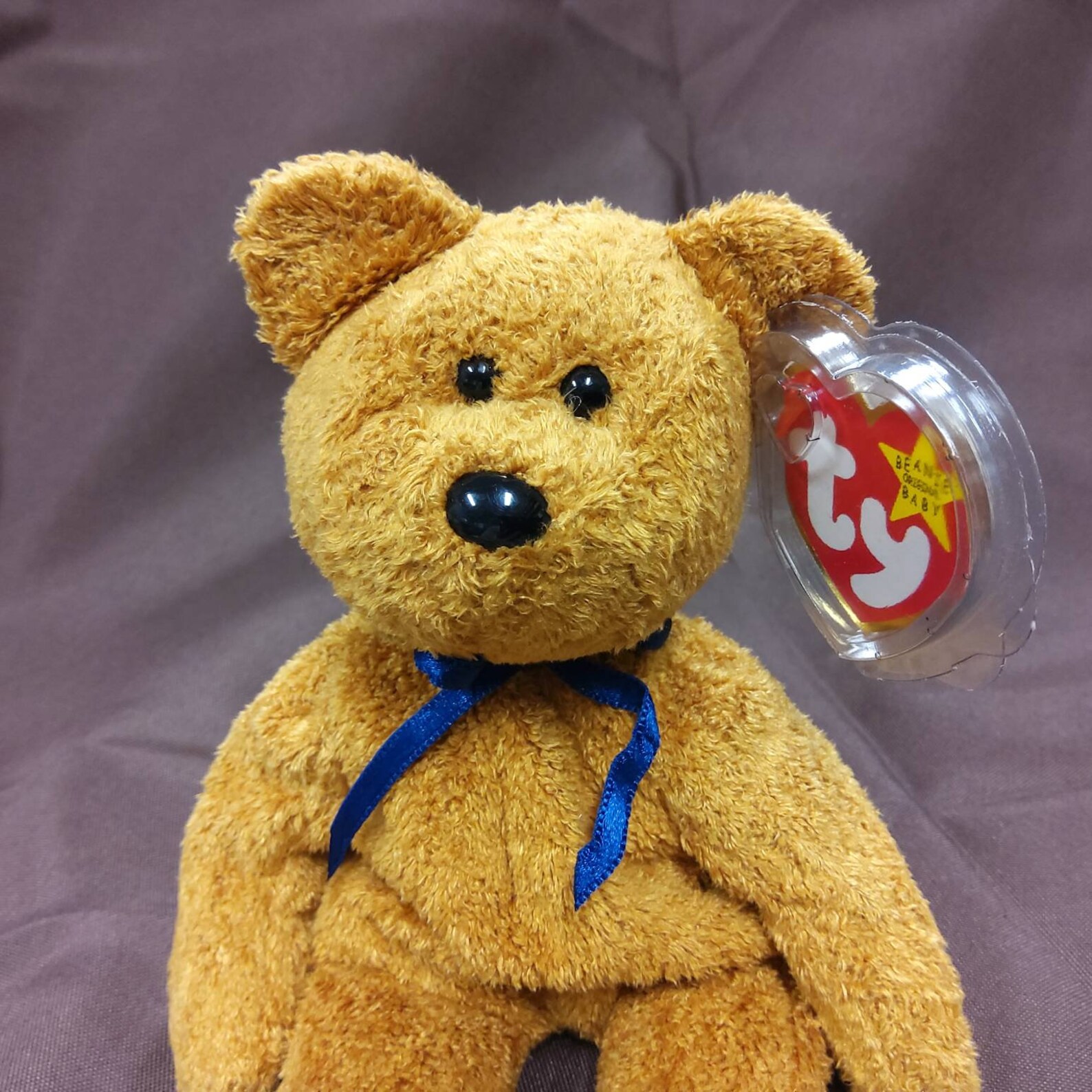TY Beanie Baby "fuzz" the Soft, Brown Bear. New, Never Played With ...