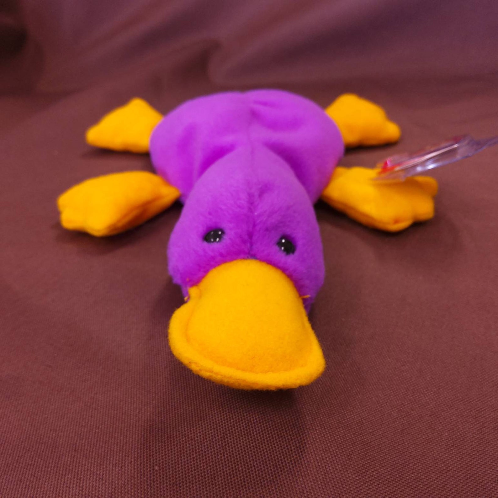 TY Beanie Baby "patti" the Platypus. New, Never Played With. Stored ...