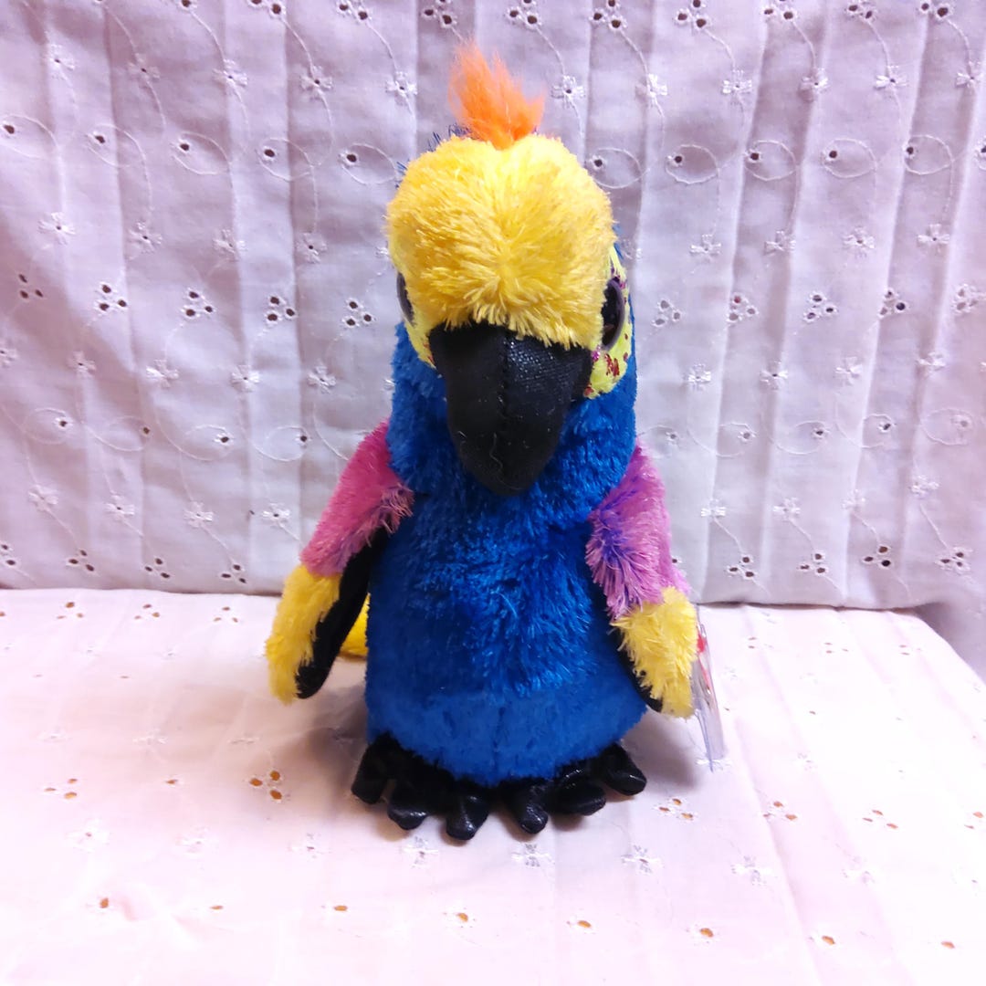 TY Beanie Boos wynnie the Macaw Parrot. New, Never Played With. Stored ...