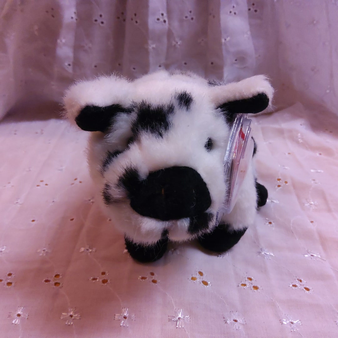 TY Beanie Baby stubby the Pig. New, Never Played With. Stored in a ...
