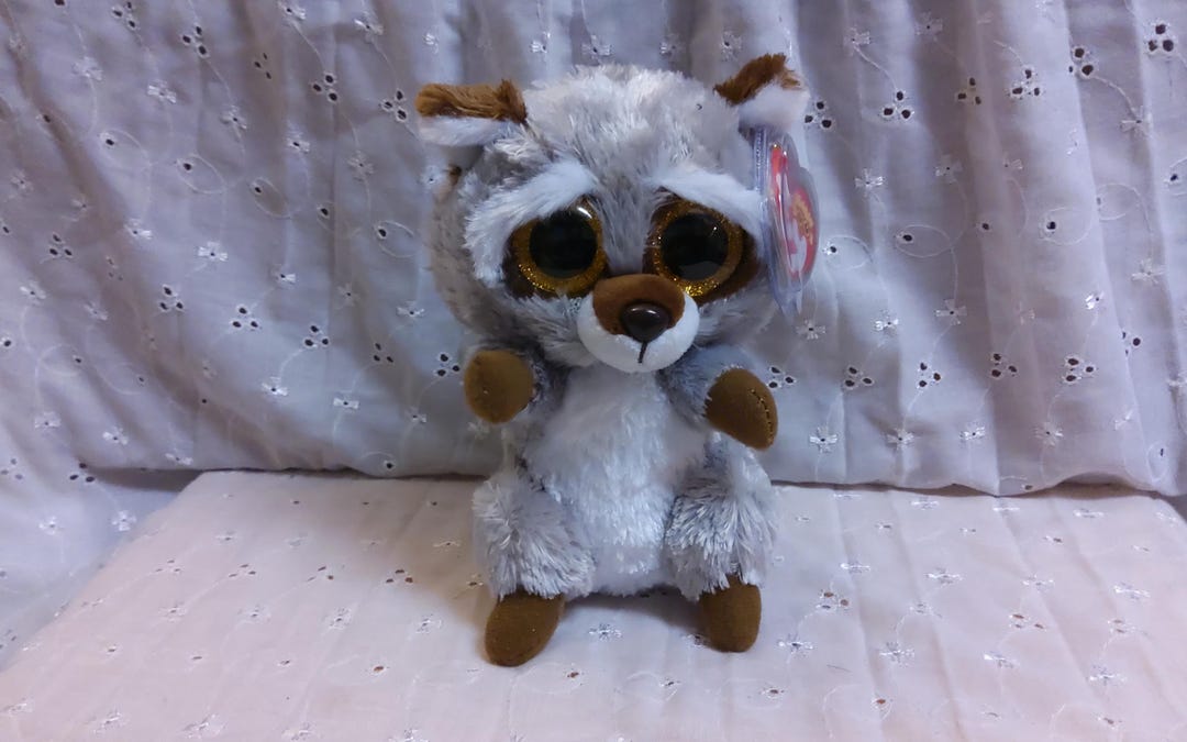 TY Beanie Boos "oakie" the Raccoon. New, Never Played With. Stored in a ...