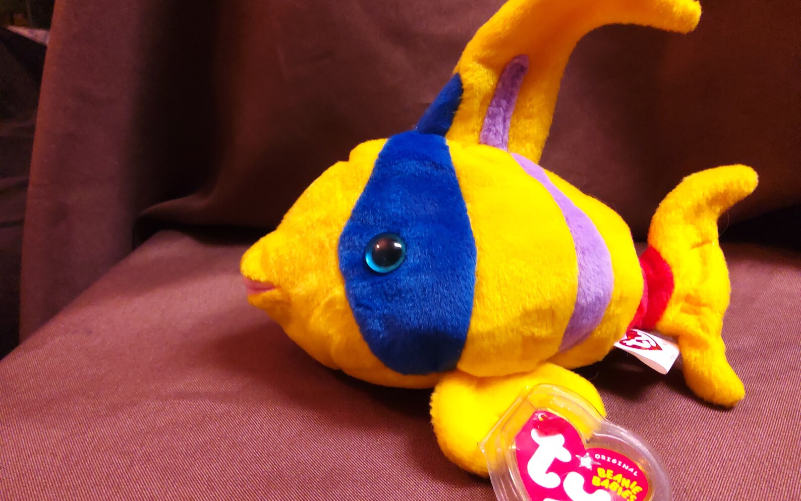 TY Beanie Baby "oriel" the Fish. New, Never Played With. Stored in a ...