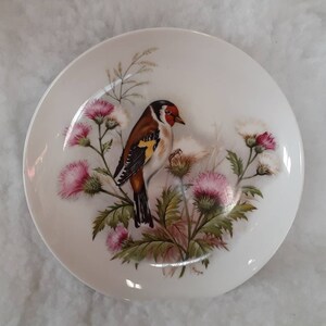 Kaiser Germany Illustrated Bird Plate. Vintage. Maker's - Etsy