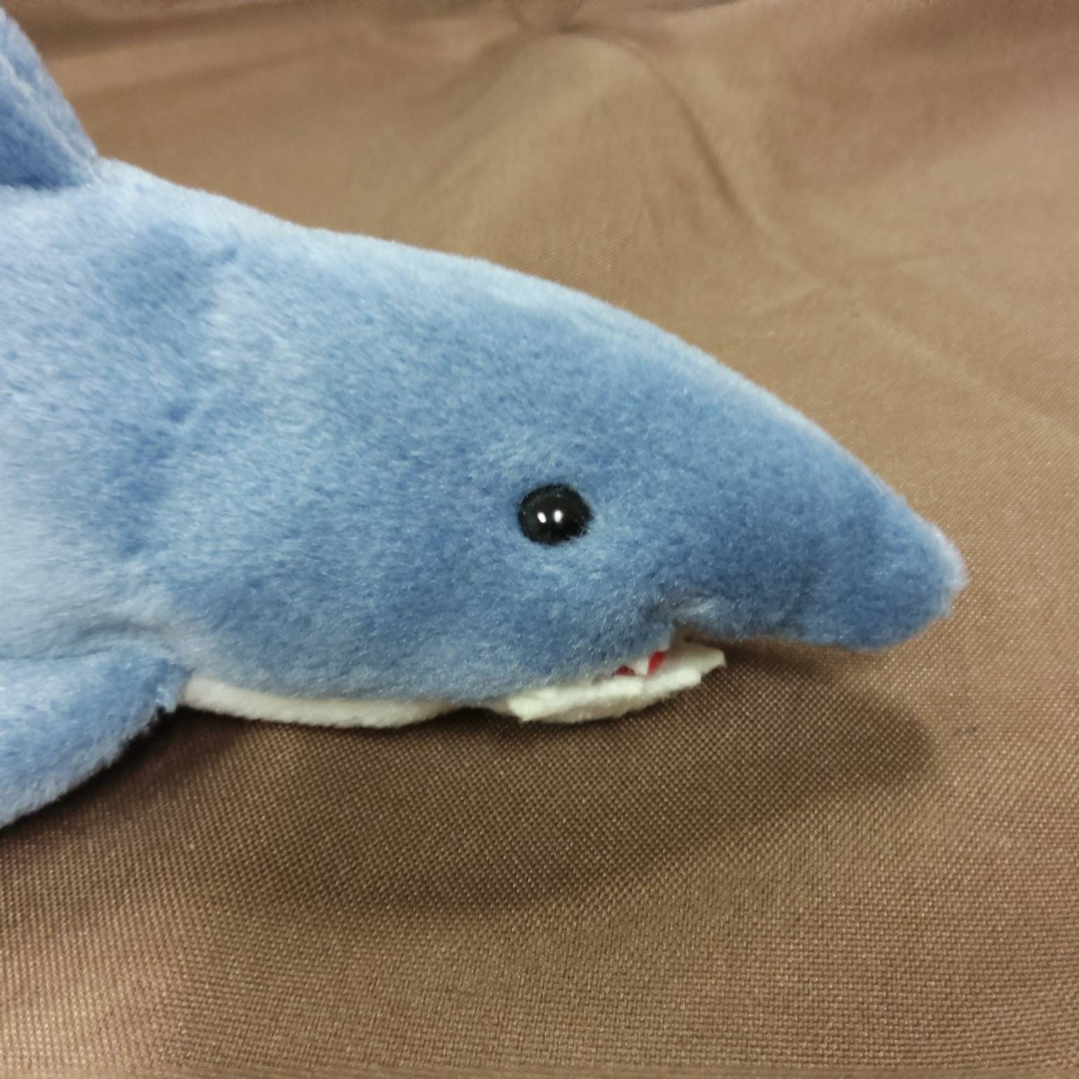 TY Beanie Baby "crunch" the Shark. New, Never Played With. Stored in a ...
