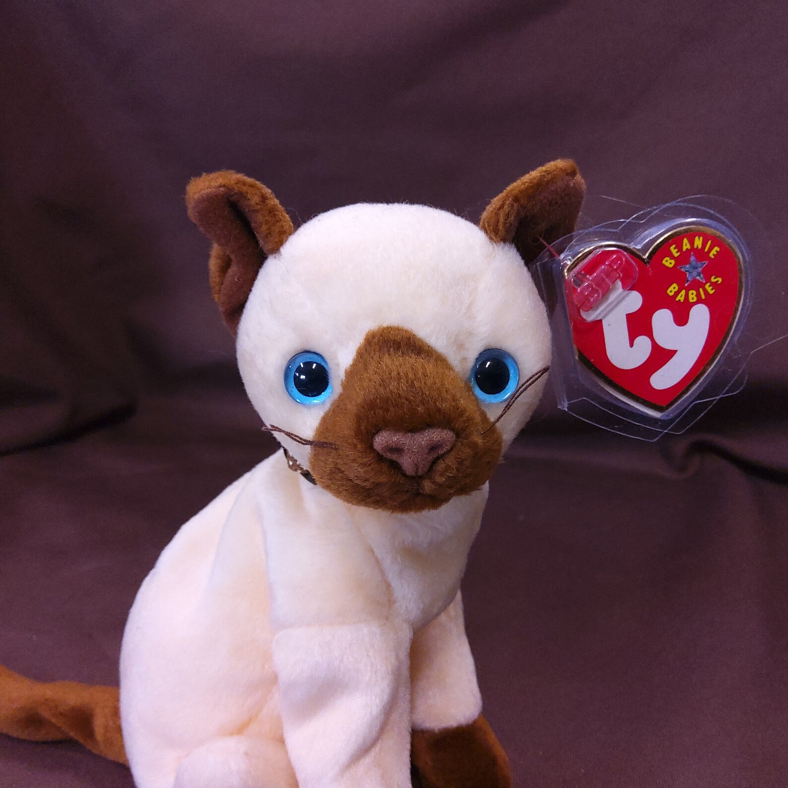 TY Beanie Baby "siam" the Siamese Cat. New, Never Played With. Stored ...