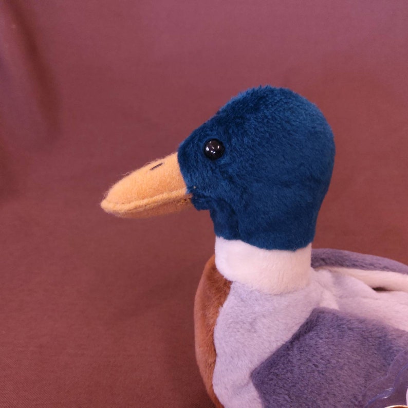 TY Beanie Baby "jake" the Mallard Duck. New, Never Played With. Stored ...