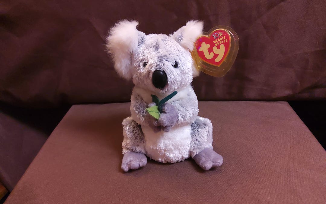 TY Beanie Baby "bonzer" the Koala Bear. New, Never Played With. Stored ...