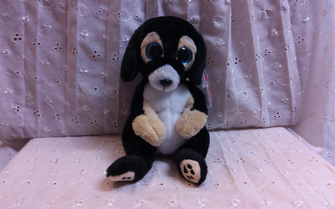 TY Beanie Bellies "ranger" the Dog. New, Never Played With. Stored in a ...