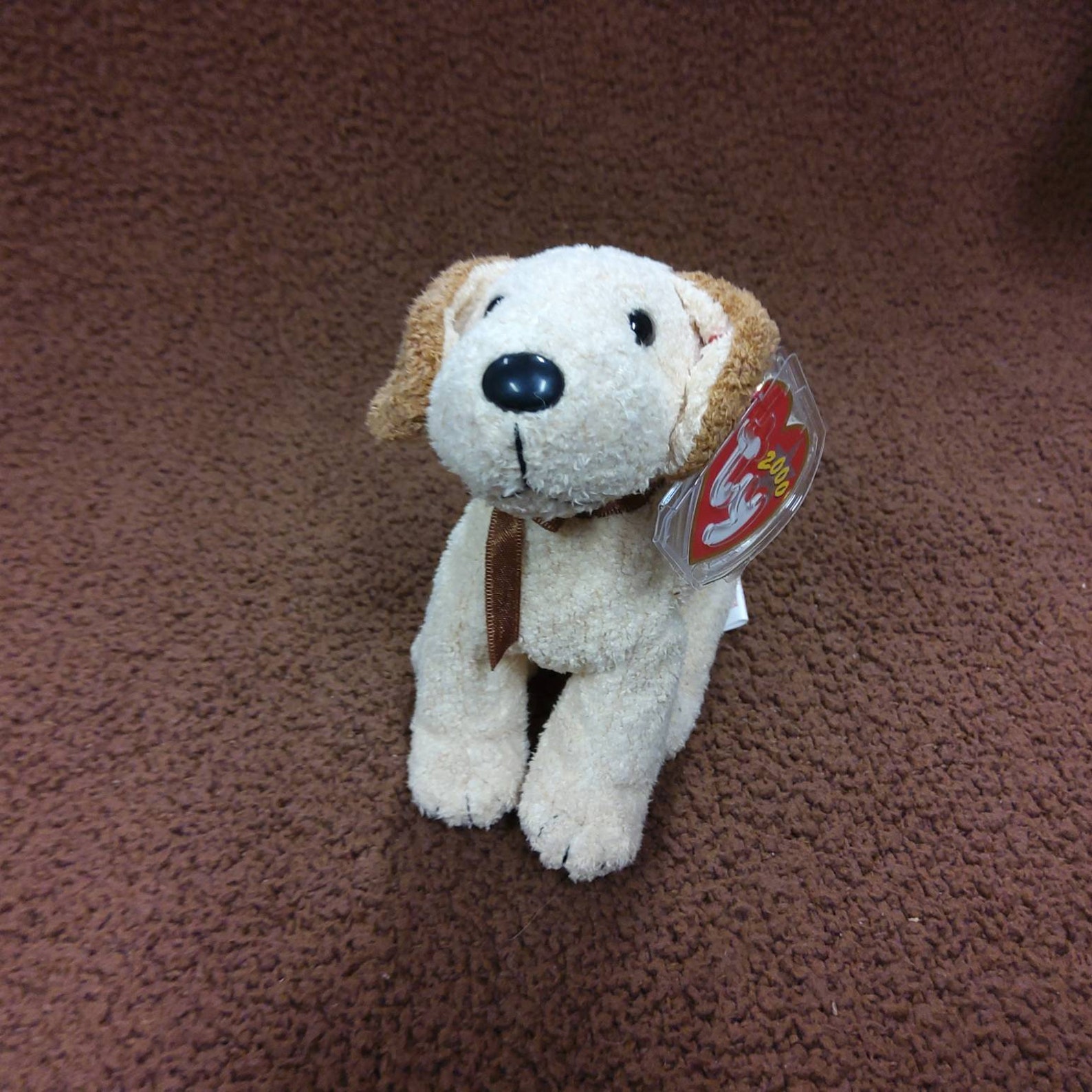 TY Beanie Baby Rufus the Dog. New never played | Etsy