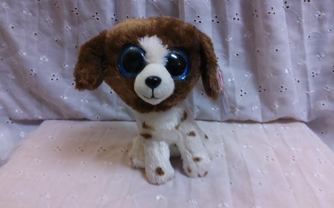 TY Beanie Boos "muddle" the Brown and White Dog. New, Never Played With ...