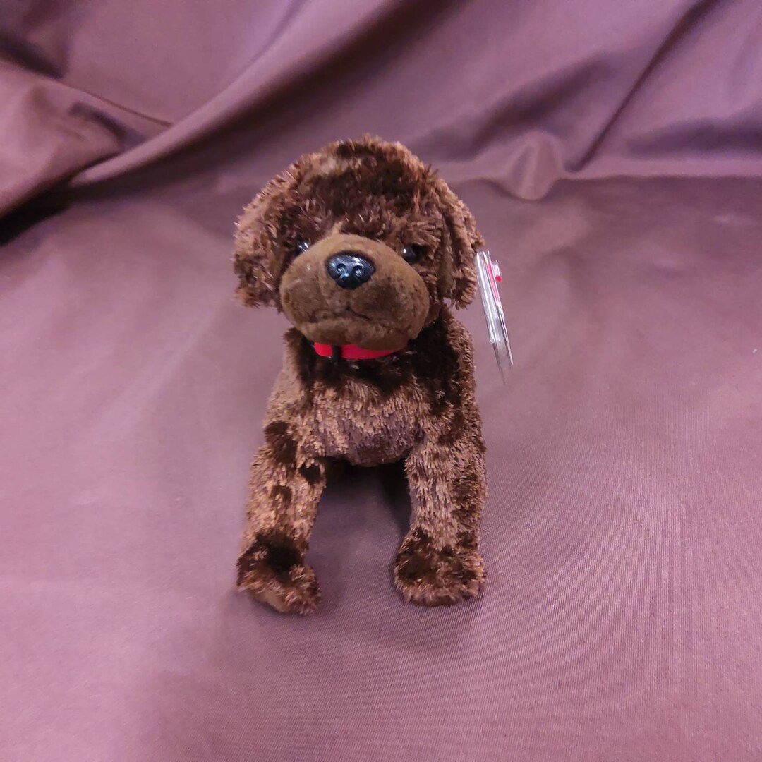 TY Beanie Baby "muddy" the Dog. New, Never Played With. Stored in a ...