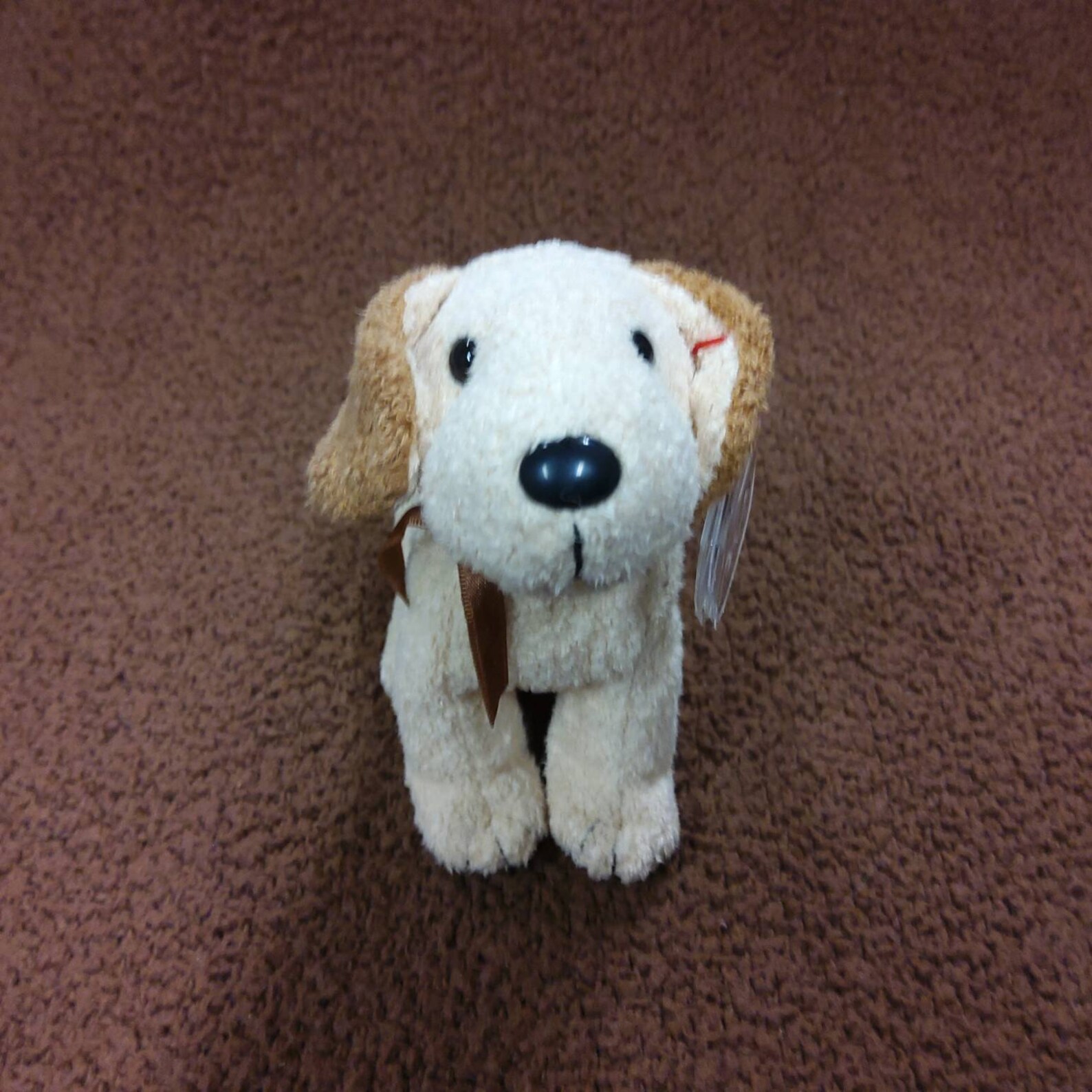 TY Beanie Baby Rufus the Dog. New never played | Etsy