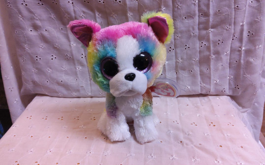TY Beanie Boos isla the Colorful Bulldog. New, Never Played With ...