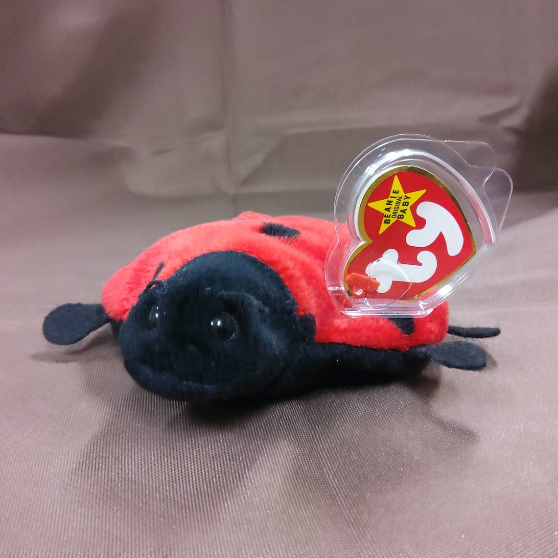 TY Beanie Baby Lucky the Ladybug. New never | Etsy
