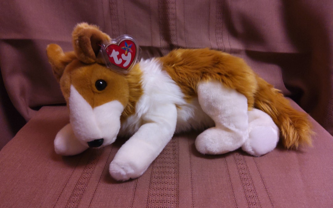 TY Beanie Buddy "cassie" the Collie Dog. New, Never Played With. Stored ...
