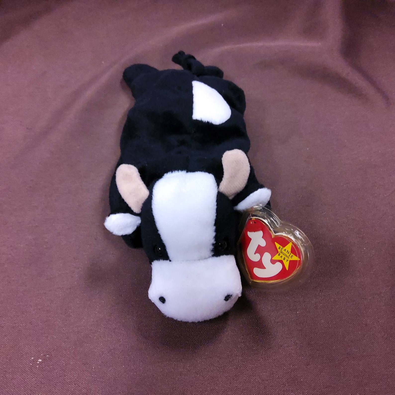 TY Beanie Baby "daisy" the Cow. New, Never Played With. Stored in a ...