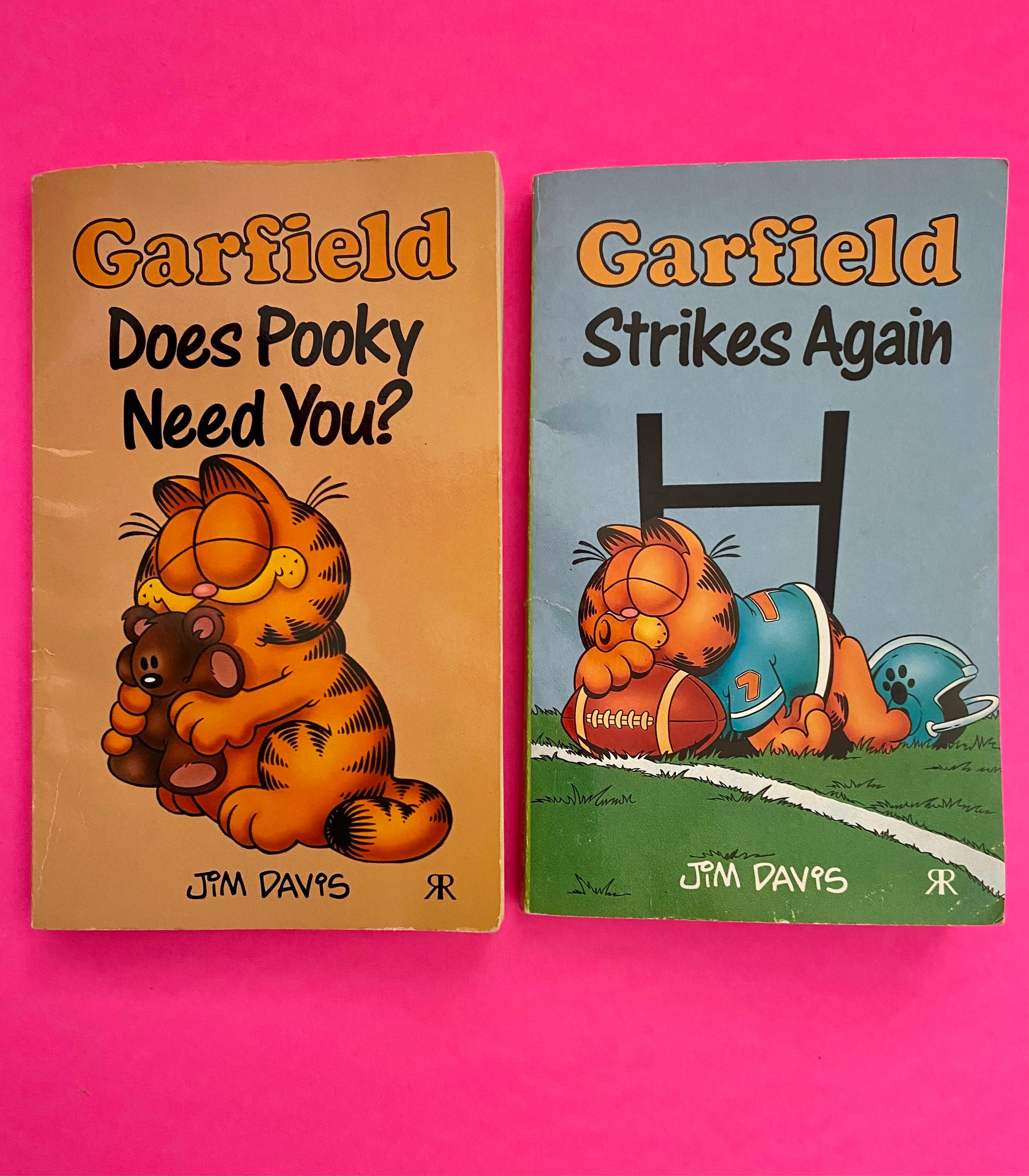 Garfield And Pooky Wallpaper