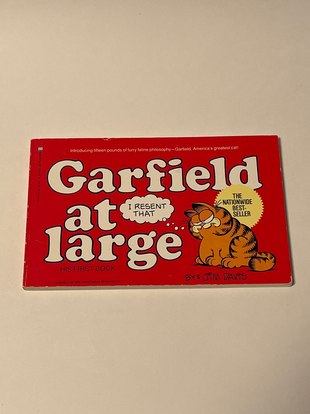 Garfield Comic Book Garfield at Large His 1st Book - Etsy
