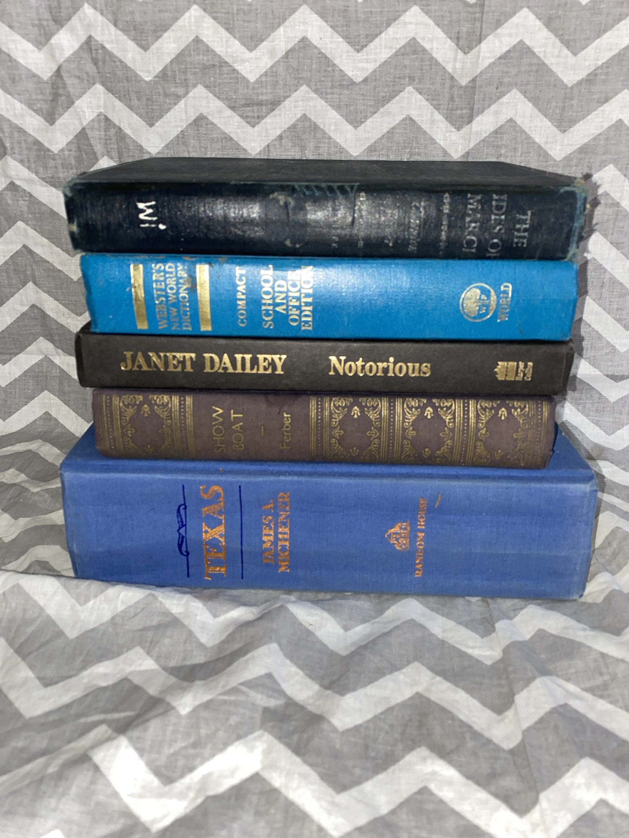 Lot of Vintage Blue Books - Etsy Ireland
