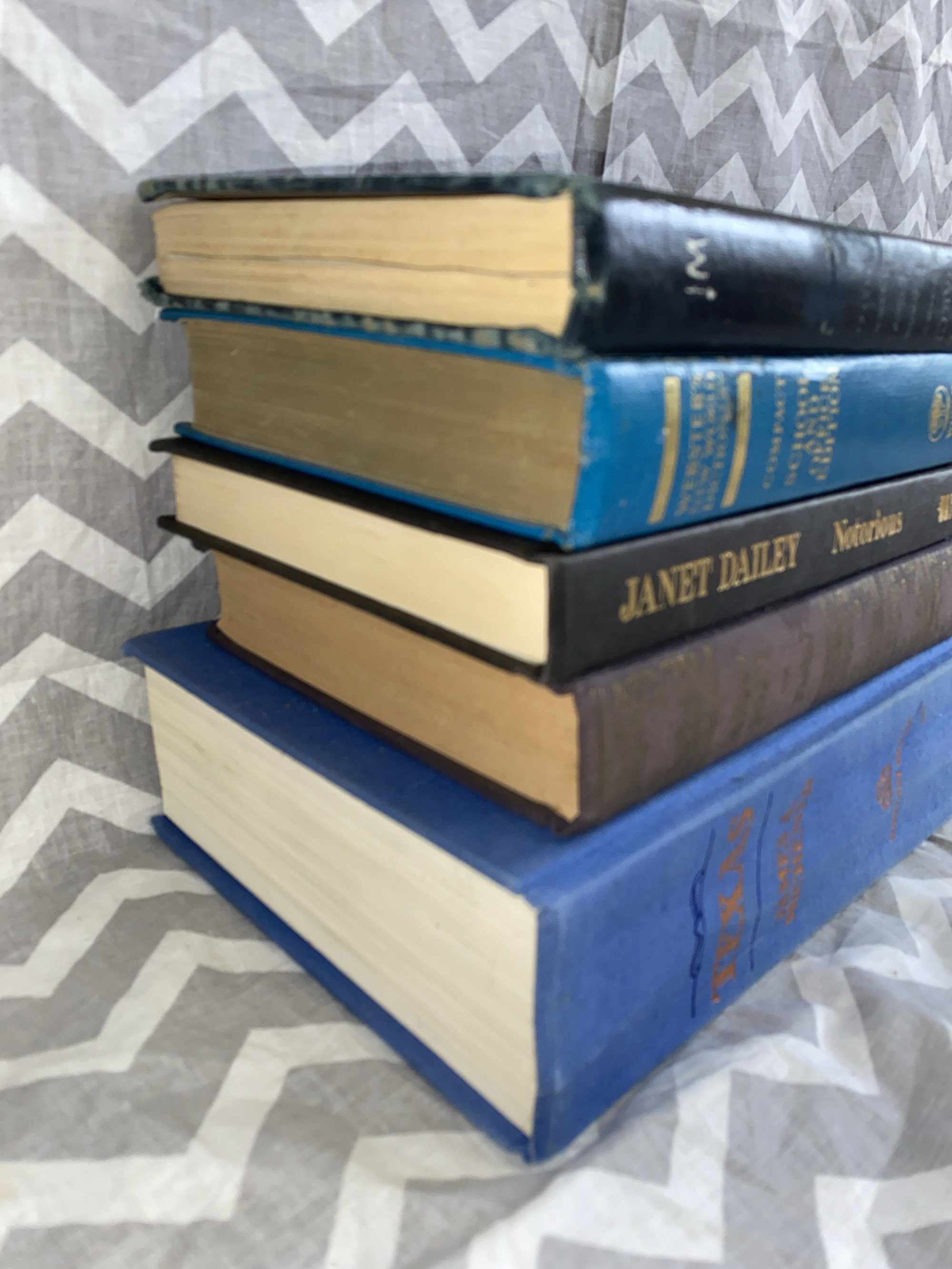 Lot of Vintage Blue Books - Etsy Ireland