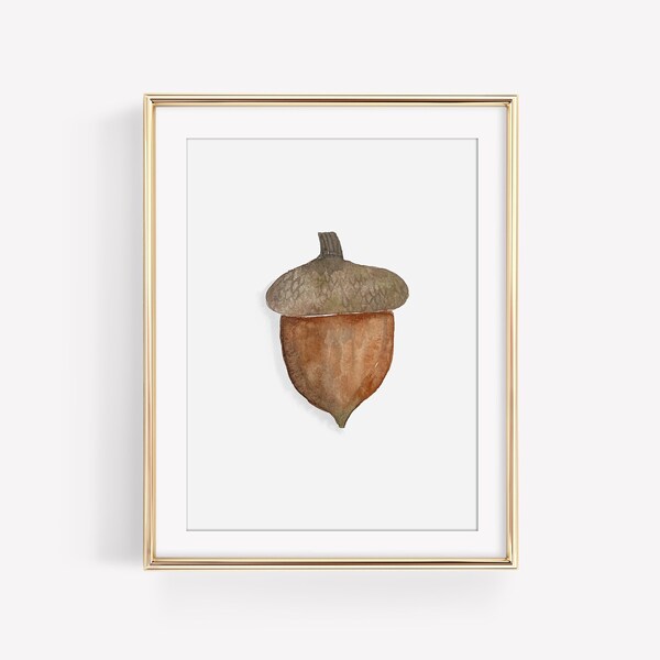 Acorn Watercolor - Etsy