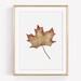 Alabama Rust Outline Print, Alabama Home Decor, Gift for Alabama Fan ...