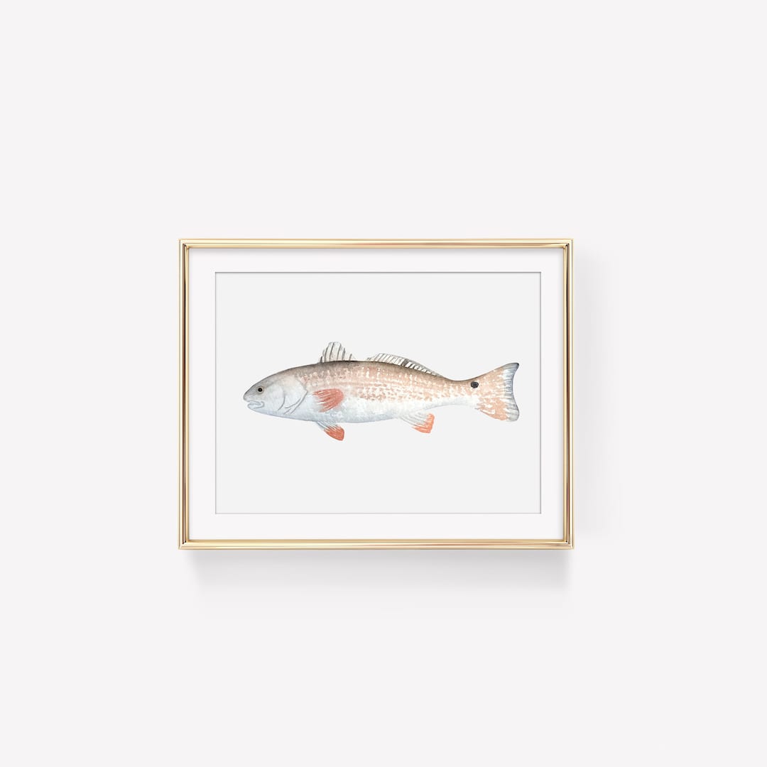 Red Fish Watercolor Art Print - Fishing Artwork - Etsy