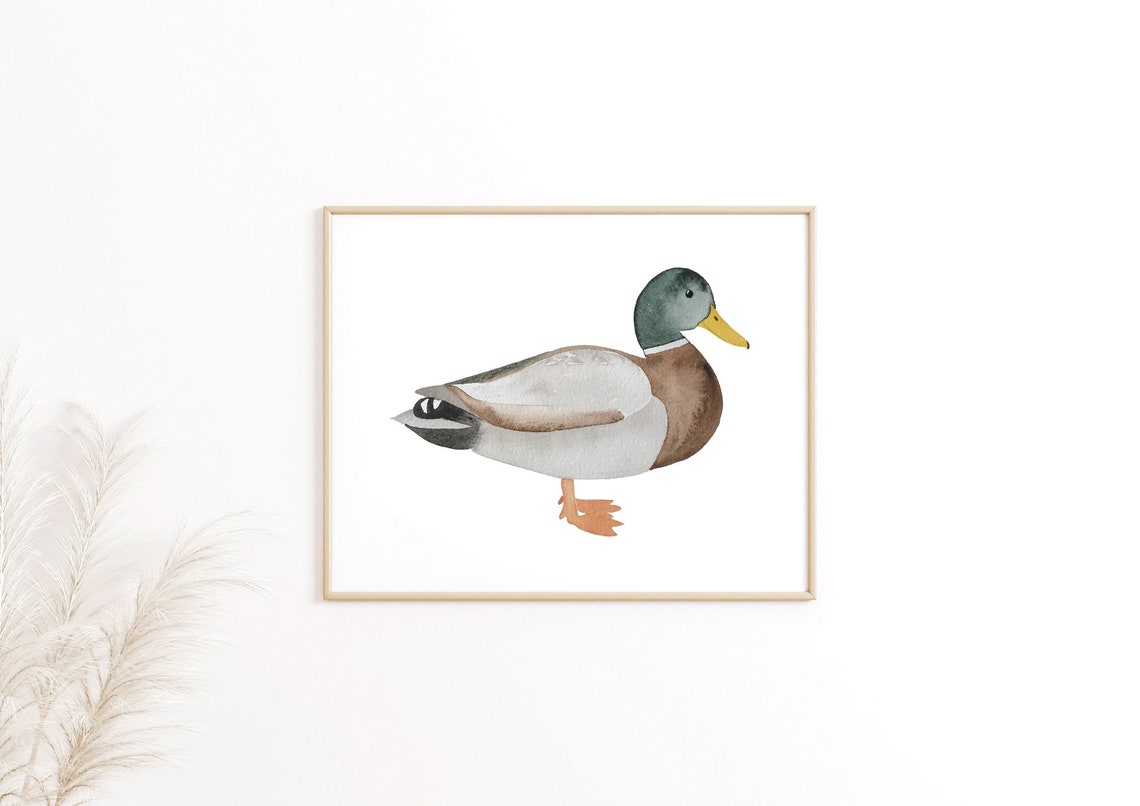 Watercolor Mallard Duck Print Watercolor Nursery Decor - Etsy