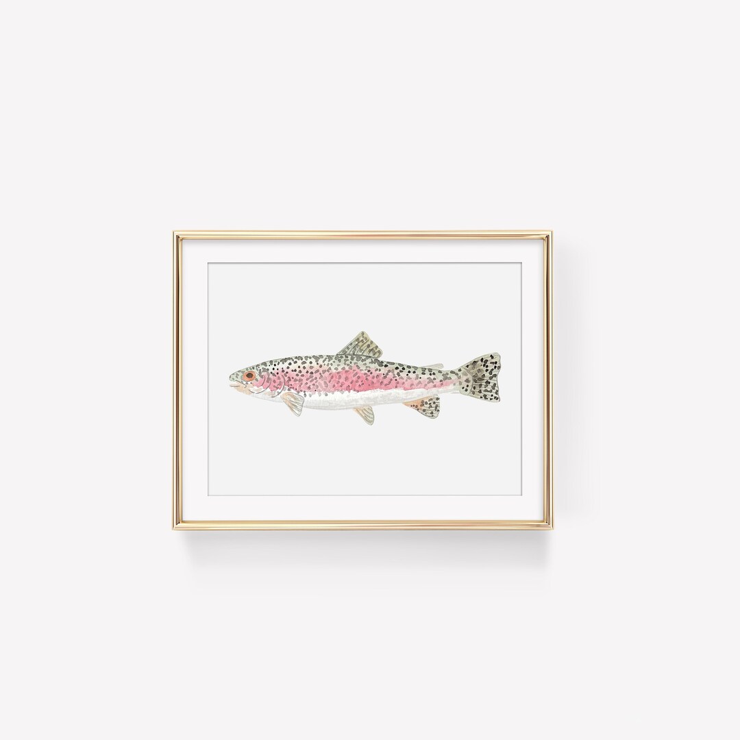 Rainbow Trout Watercolor Art Print - Fishing Artwork - Etsy