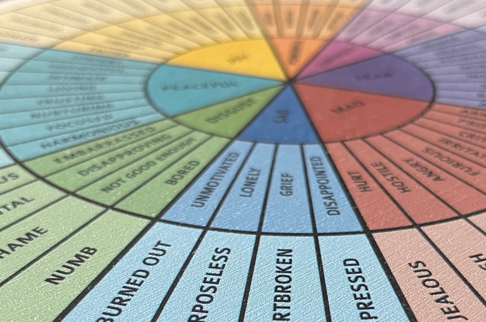 HANDHELD EMOTION WHEEL | Lightweight Wood | Feelings Circle ...